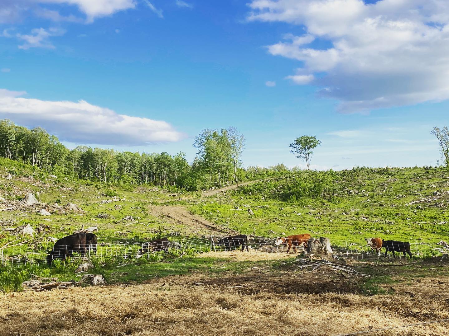 Gravel Pit Farm – Gravel Pit Farm NH